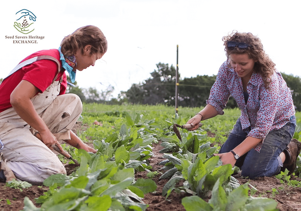 Seed Savers Heritage Farm - Decorah Area Chamber of Commerce